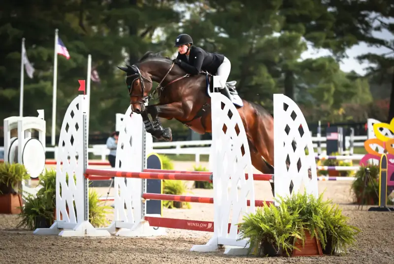 Balou Agave | An HJx Sale Horse Listing