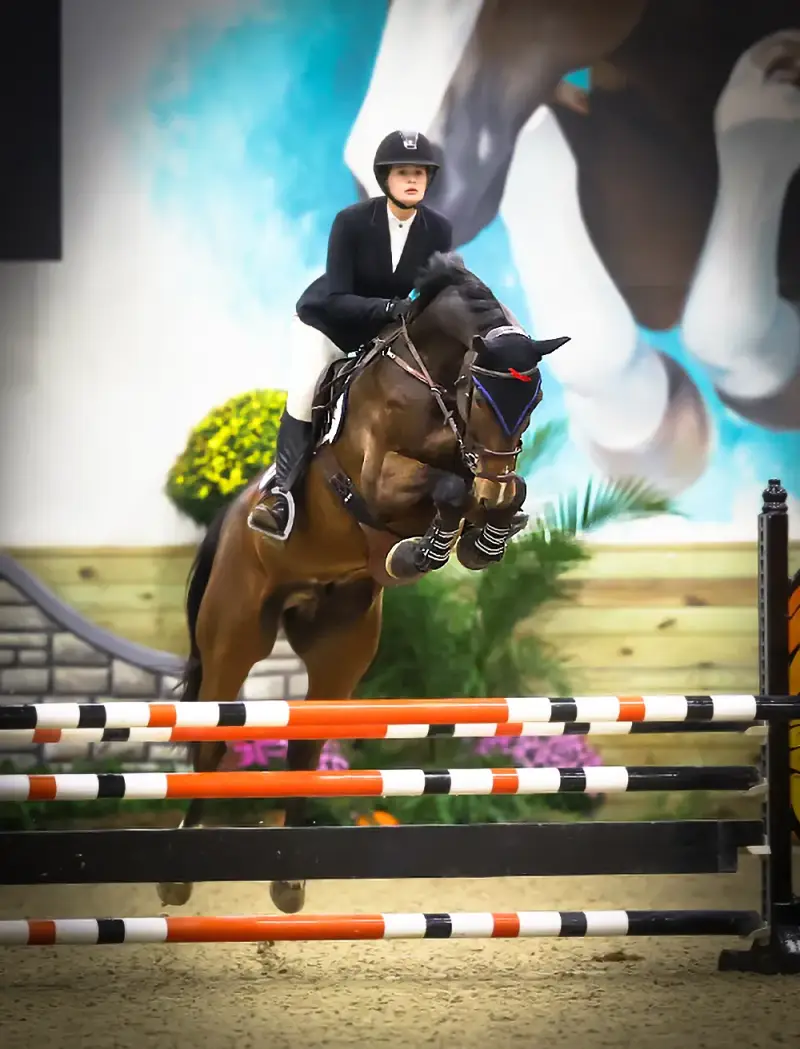 Balou Agave | An HJx Sale Horse Listing