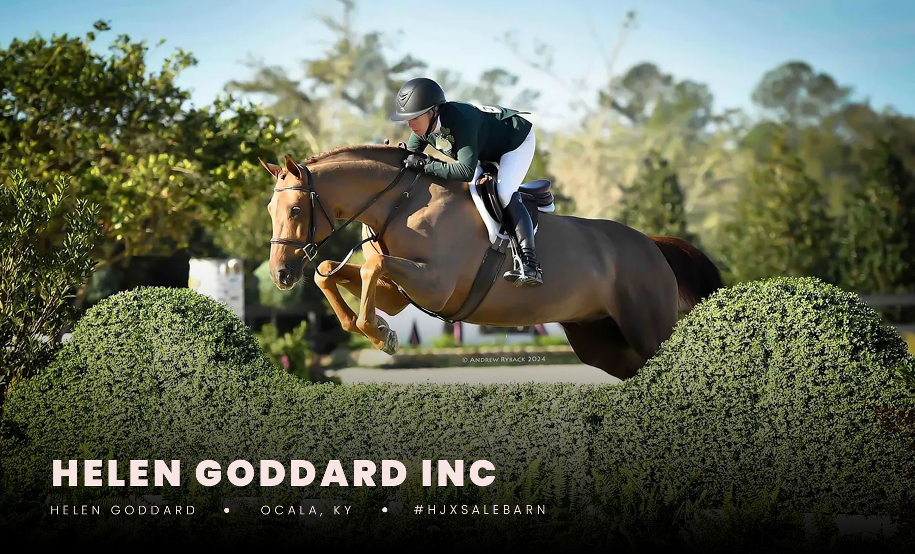 Helen Goddard, Inc | An HJx Sale Barn Listing