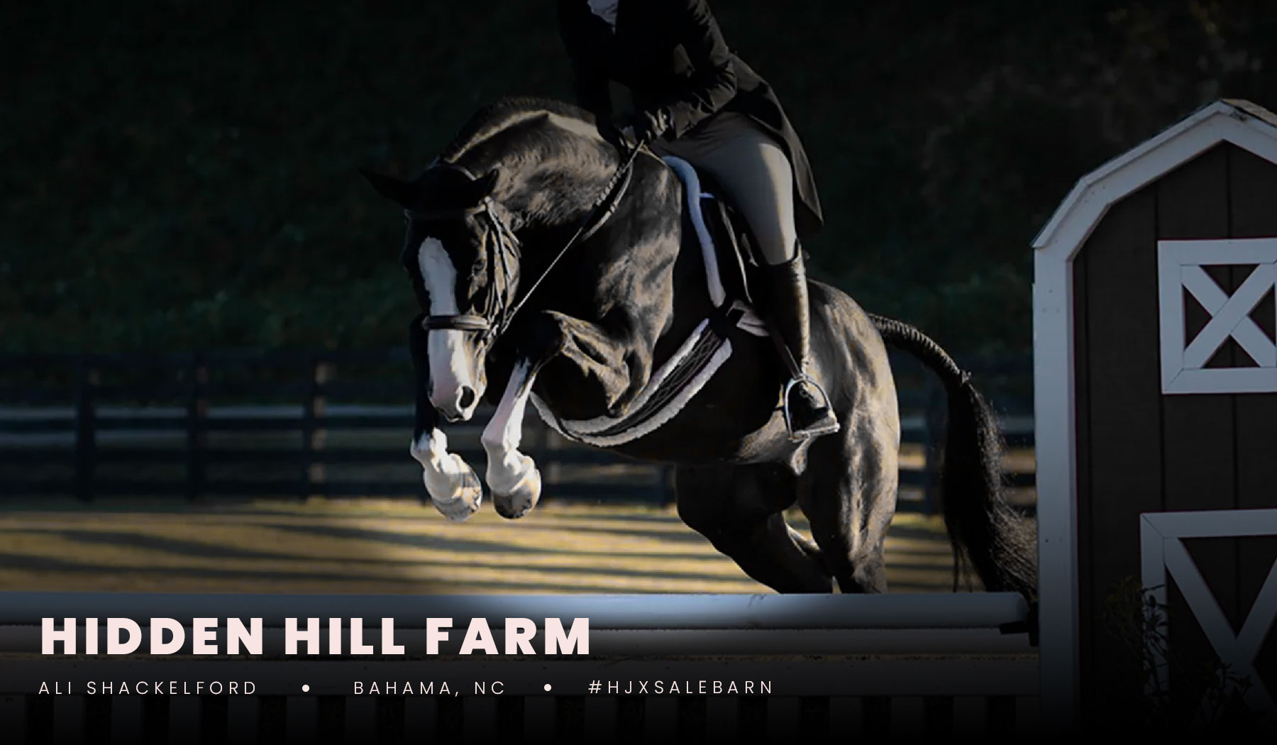 Hidden Hill Farm | An HJx Sale Barn Listing