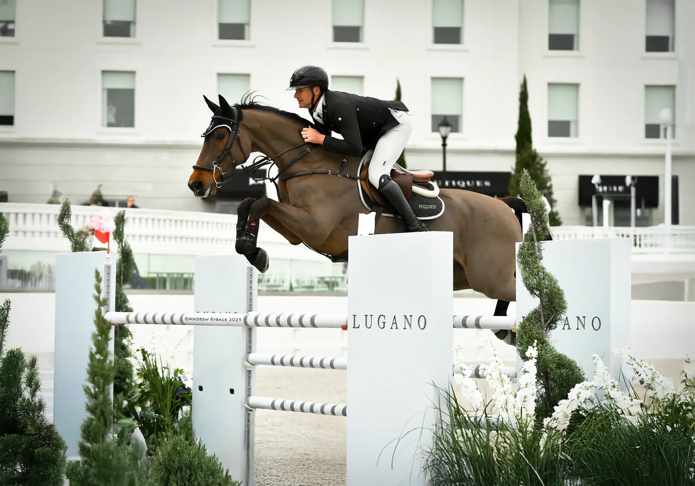 hunterjumper.exchange | Quality Show Horses for Sale