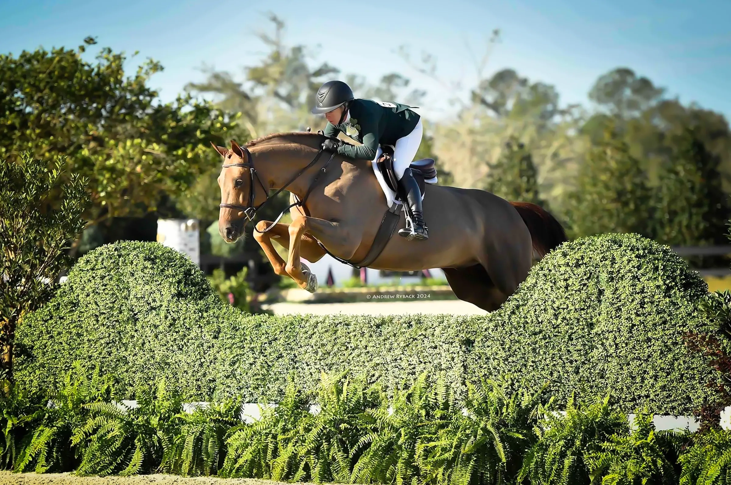 Helen Goddard, Inc | An HJx Sale Barn Listing