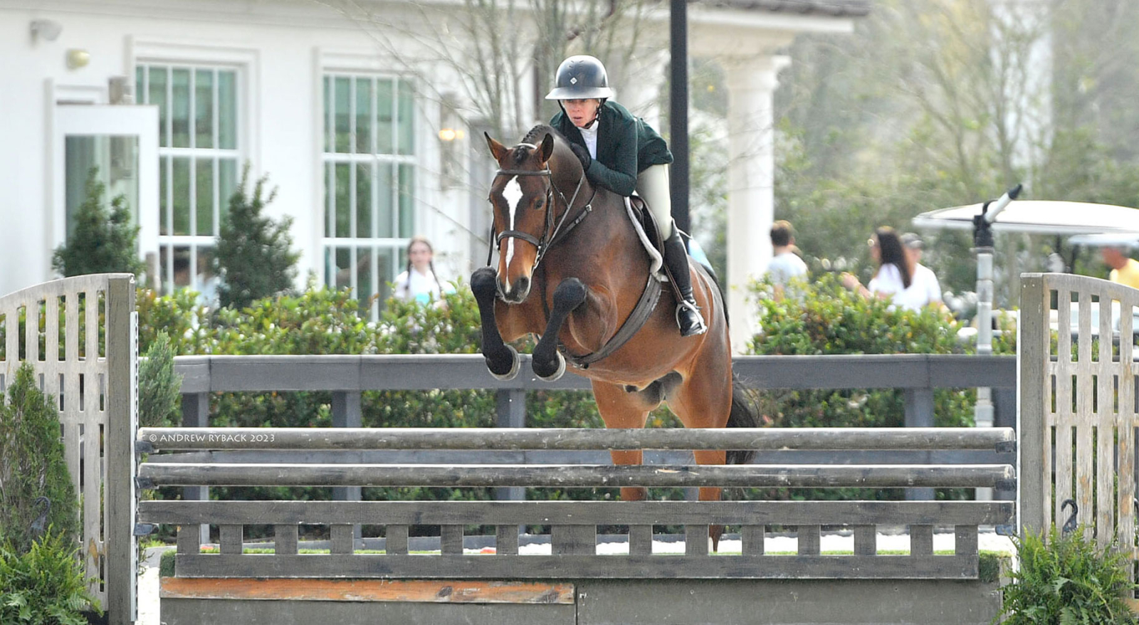 Helen Goddard, Inc | An HJx Sale Barn Listing