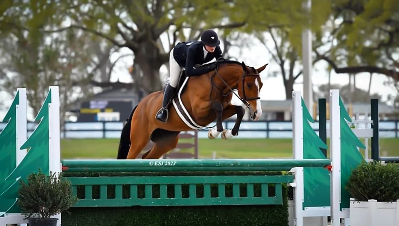 Hickory Manor | An HJx Sale Barn Listing